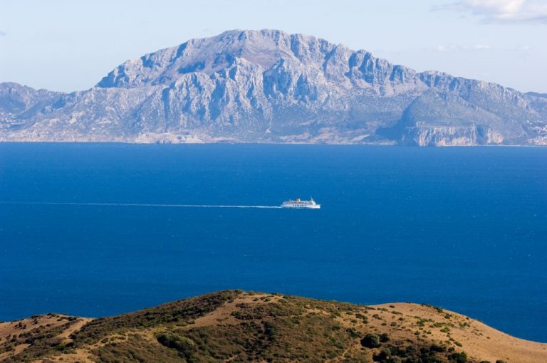 Rompi Gonadi | Racconti e sfoghi di vita quotidiana e rotture di GONADI